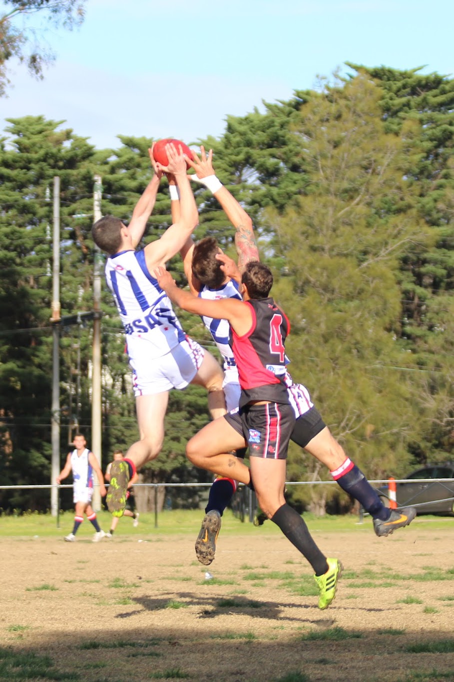 2023 49th Parallel Cup Men's Preview | United States Australian ...